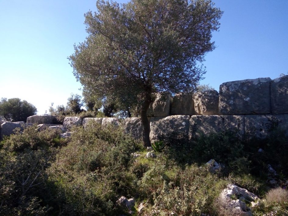 Hike to the Cyclopean walls of Krane – KefaloniaWay